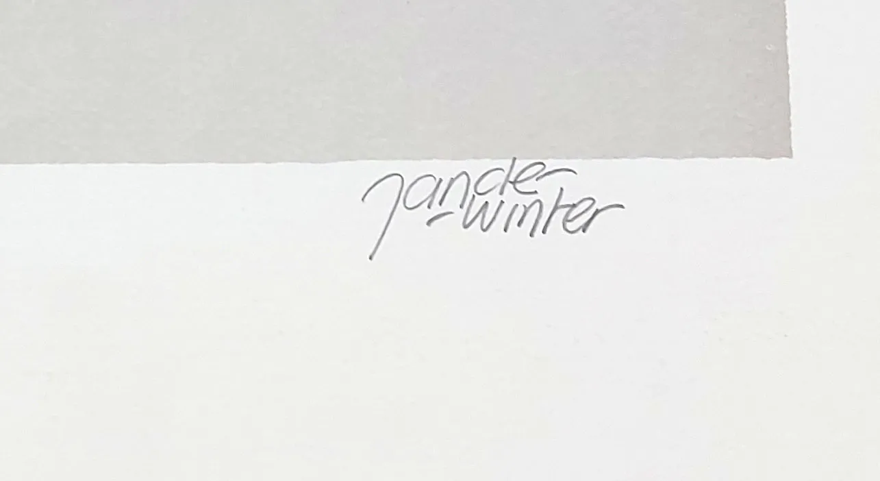 Litho, "JANA" van de Mechelse kunstenaar Jan de Winter kopen