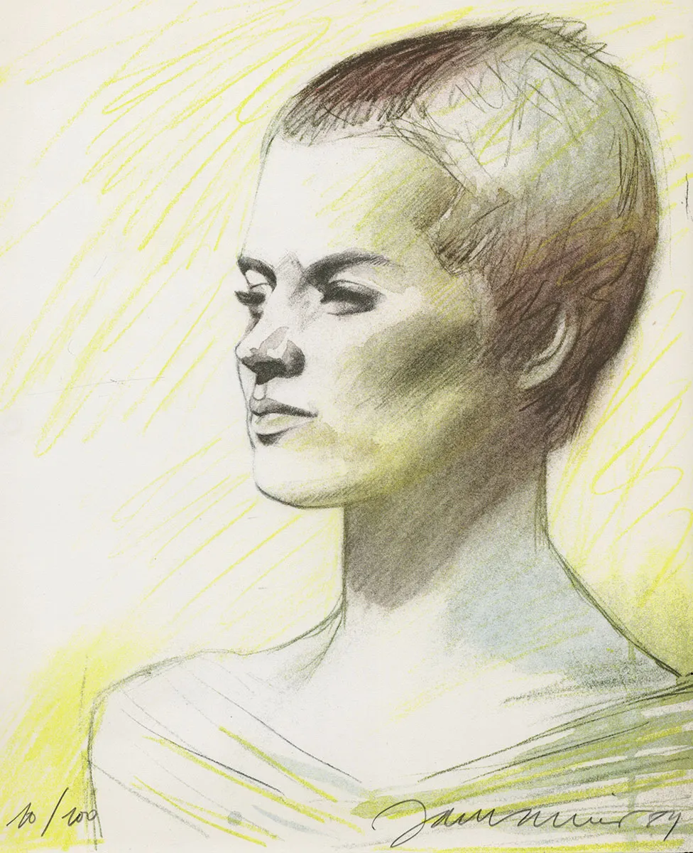 Litho uit 1984 van de Belgische kunstenaar Jan Van Riet kopen