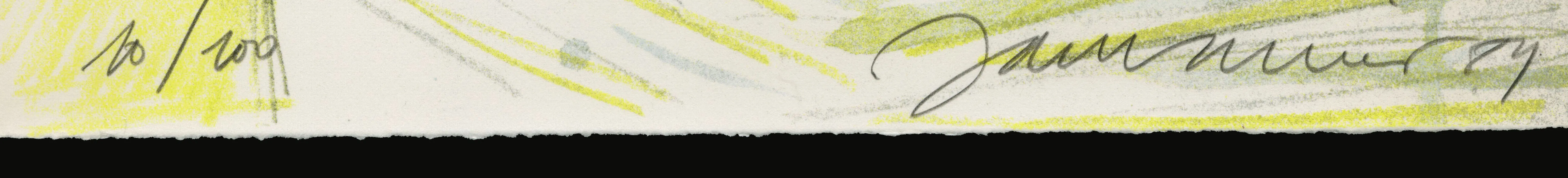 Litho uit 1984 van de Belgische kunstenaar Jan Van Riet kopen