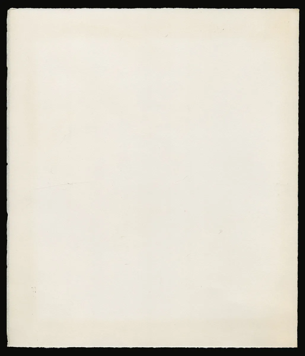 Litho uit 1984 van de Belgische kunstenaar Jan Van Riet kopen