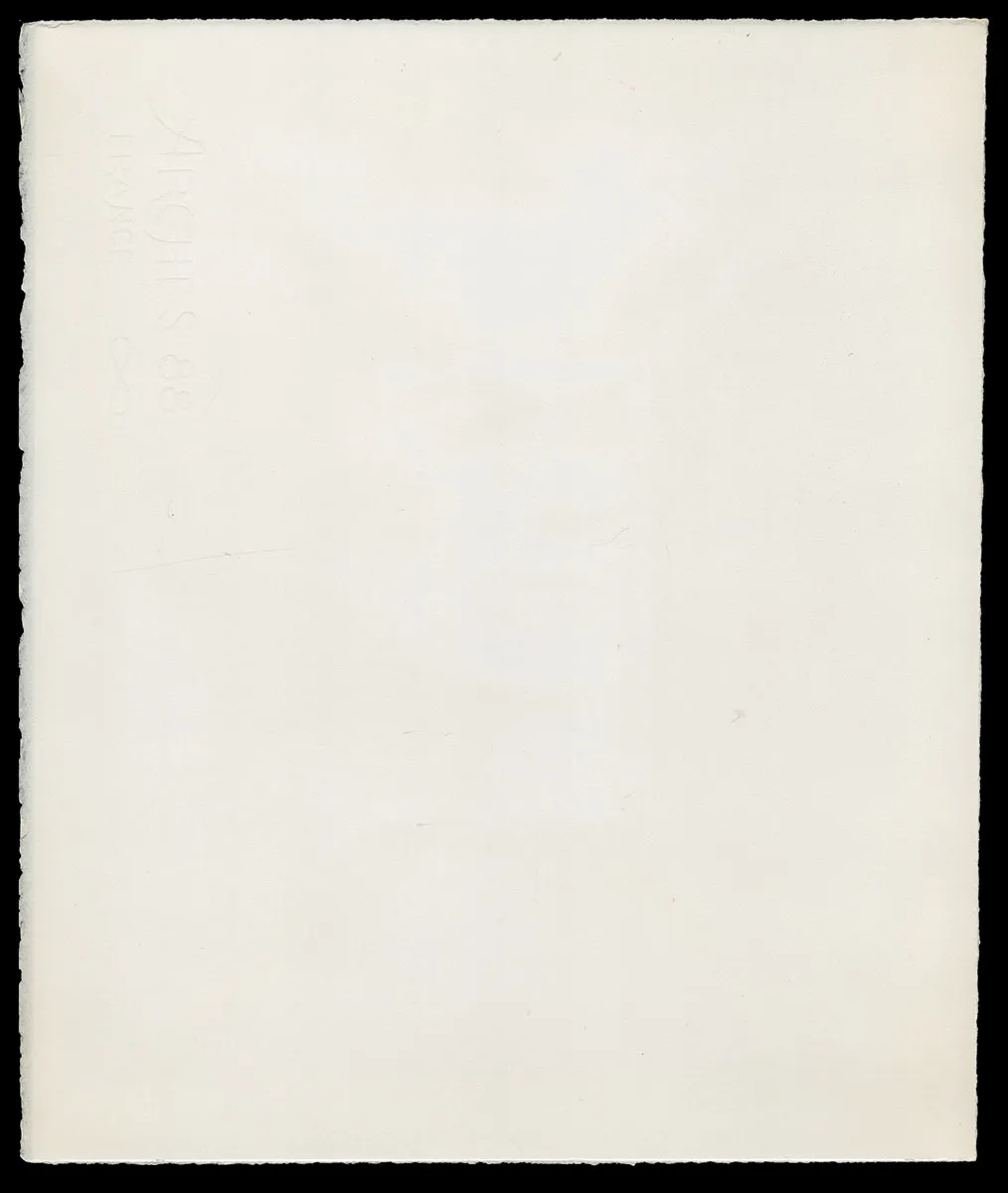 Litho uit 1984 van de Belgische kunstenaar Jan Van Riet kopen