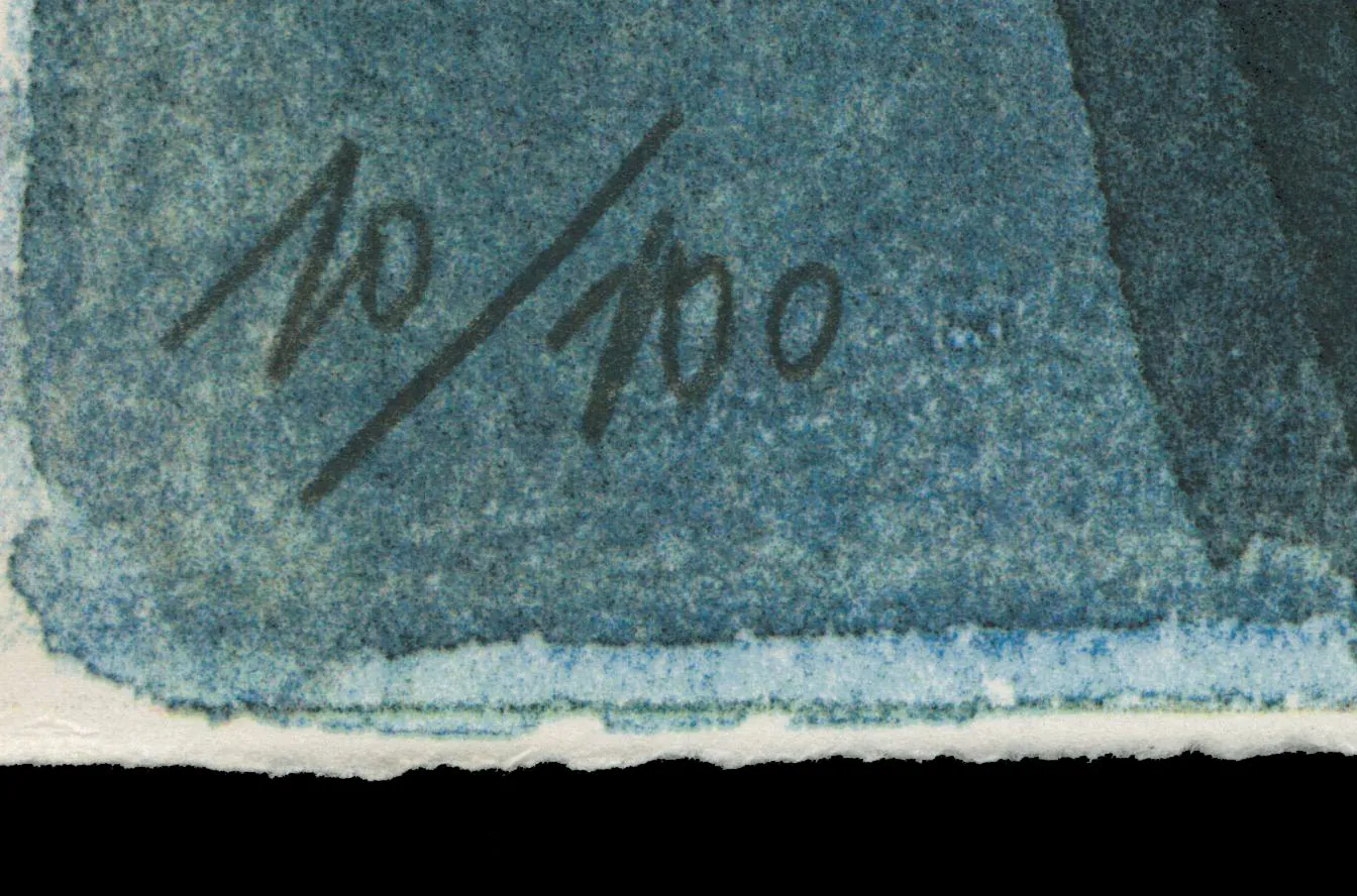 Litho uit 1984 van de Belgische kunstenaar Jan Van Riet kopen