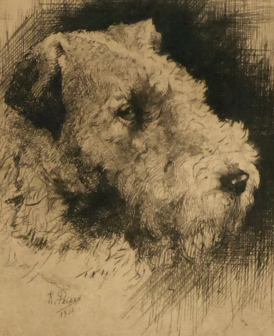 Ets van Kurt Peiser uit 1936, een hond Terriër