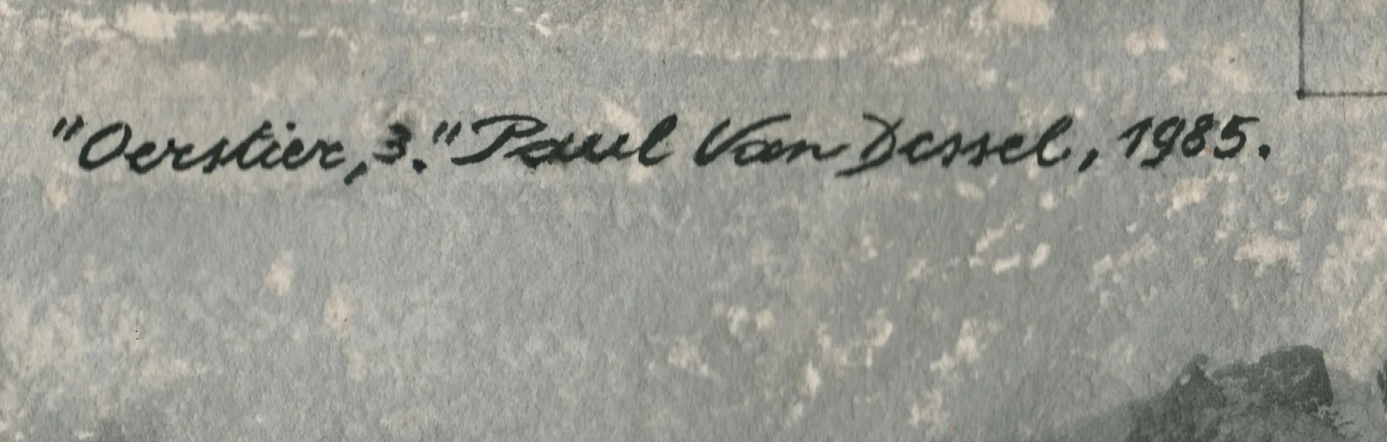 Acheter aquarelle avec taureau de l'artiste belge Paul Van Dessel