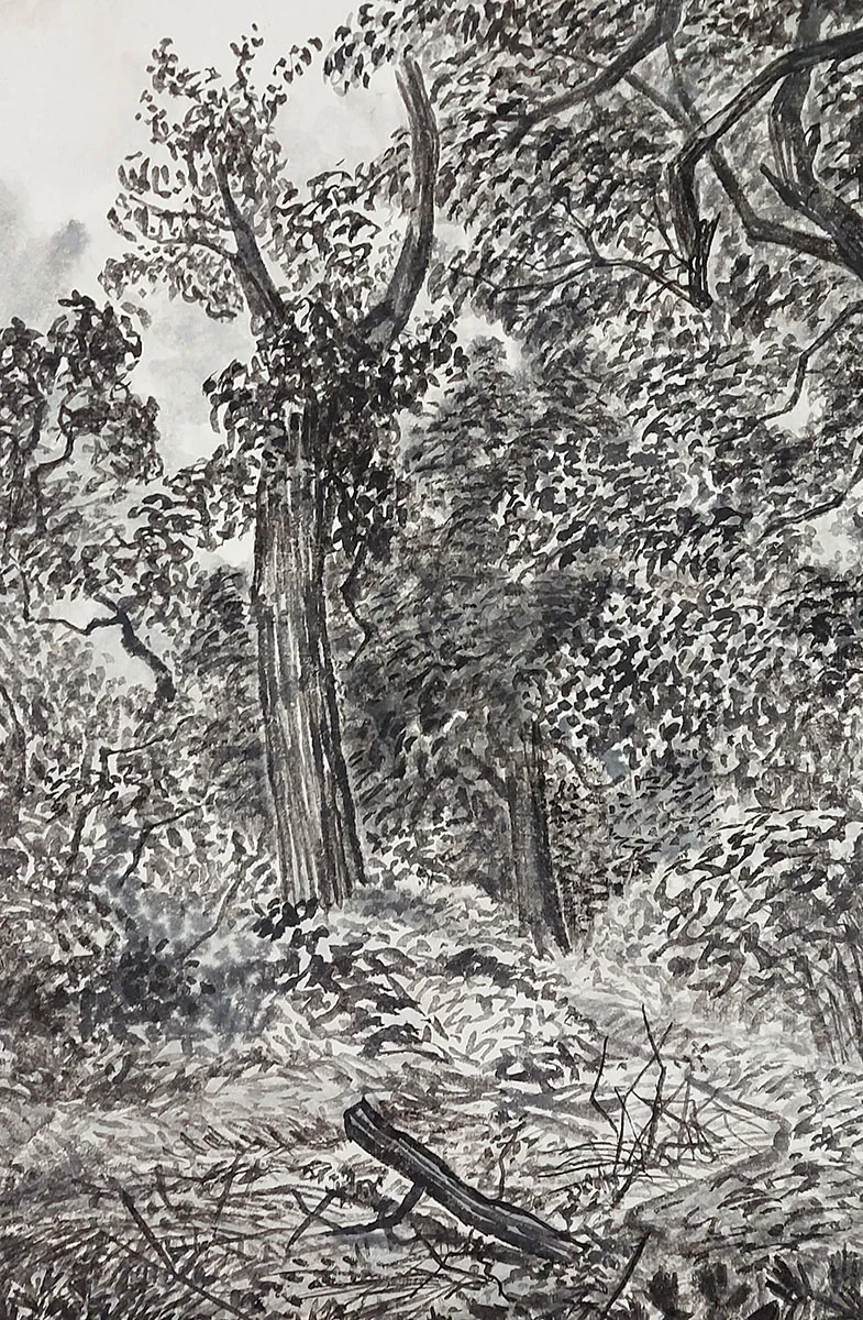 Buy watercolor from 1985 by the Belgian artist Paul Van Dessel