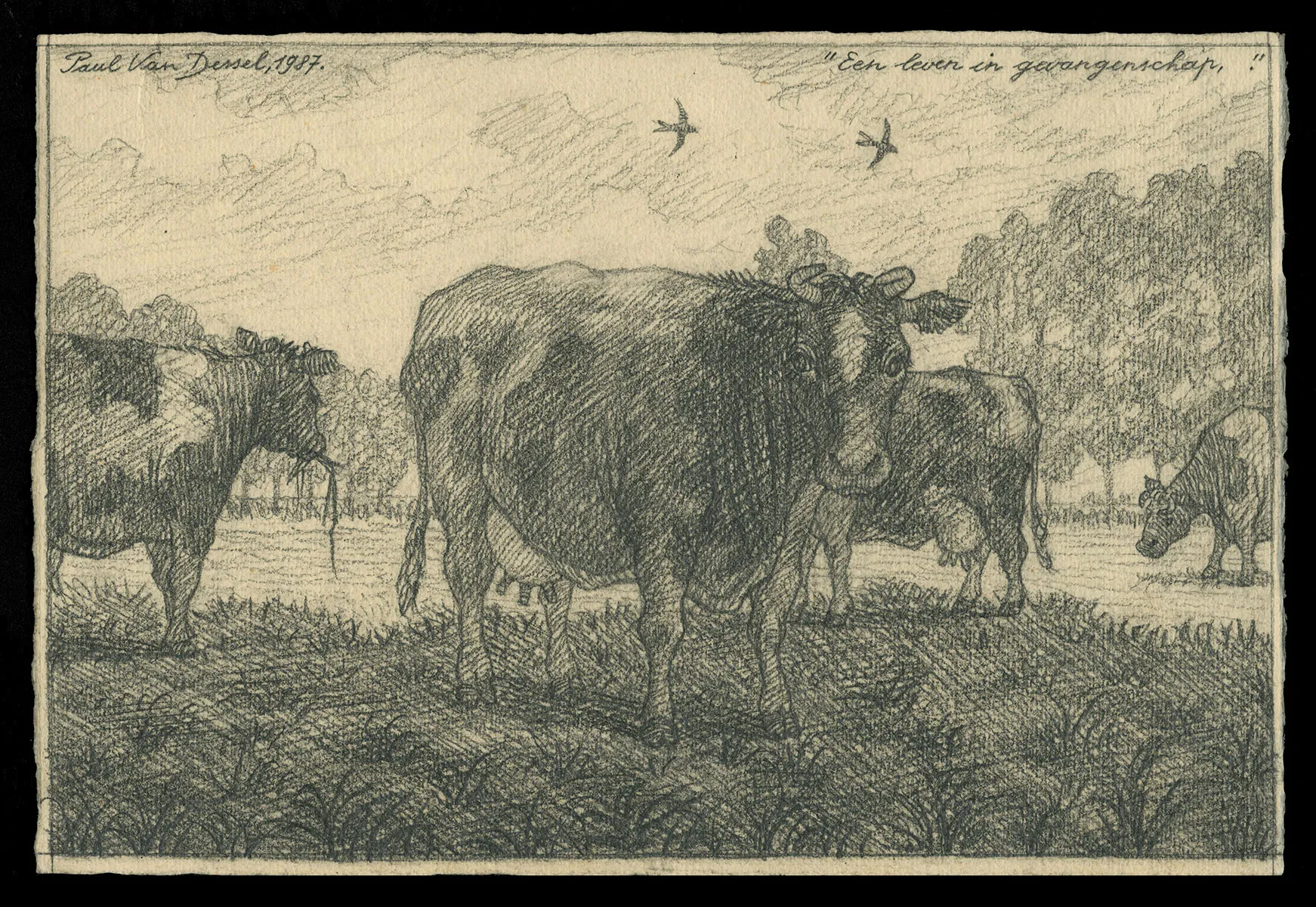 Achetez un dessin de 1987 de l'artiste belge Paul Van Dessel