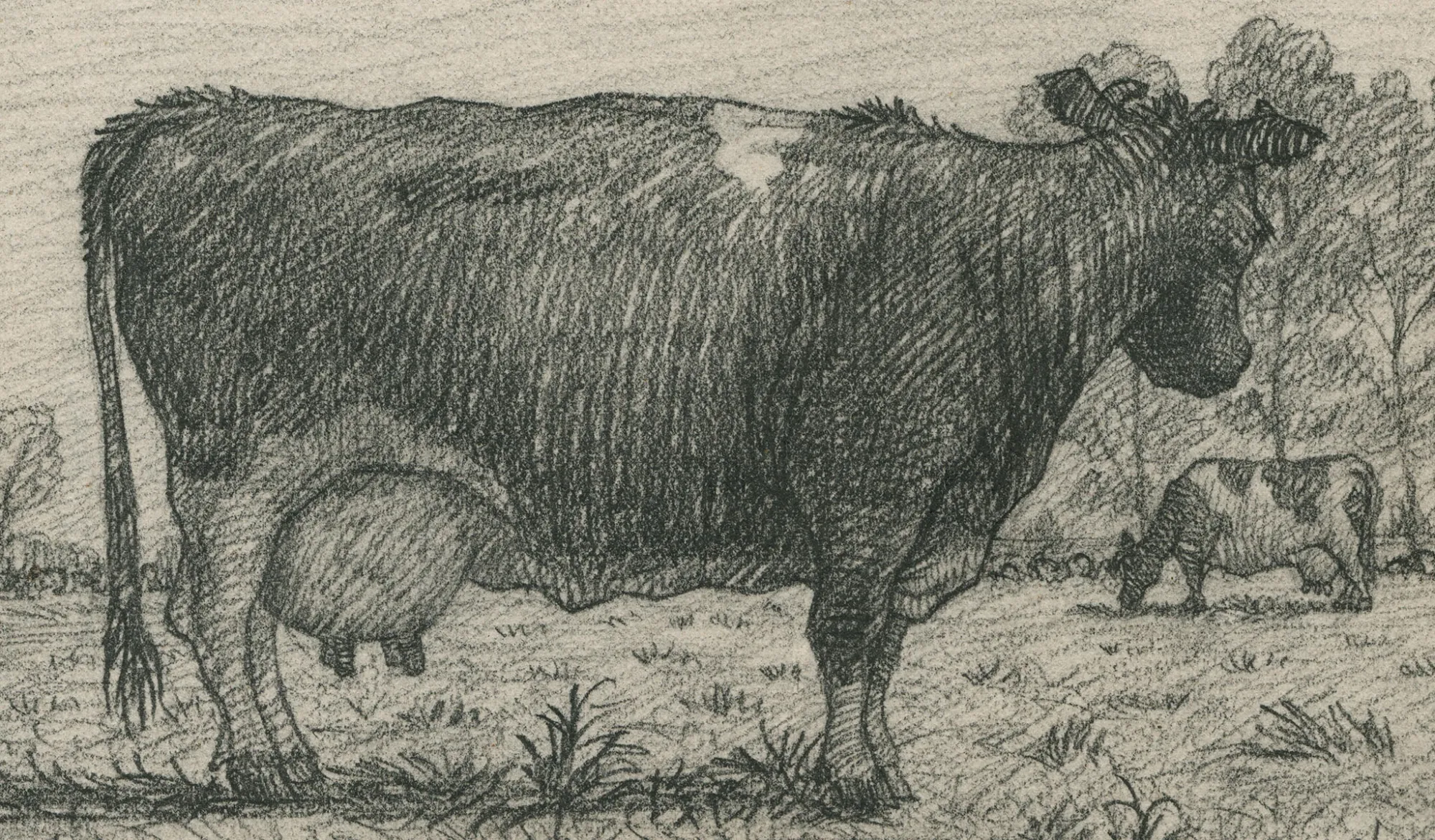 Buy a drawing from 1987 by the Belgian artist Paul Van Dessel