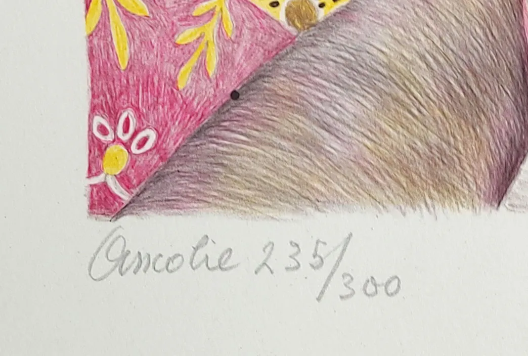 Litho kopen gemaakt door de Belgische kunstenaar Pierre Vlerick