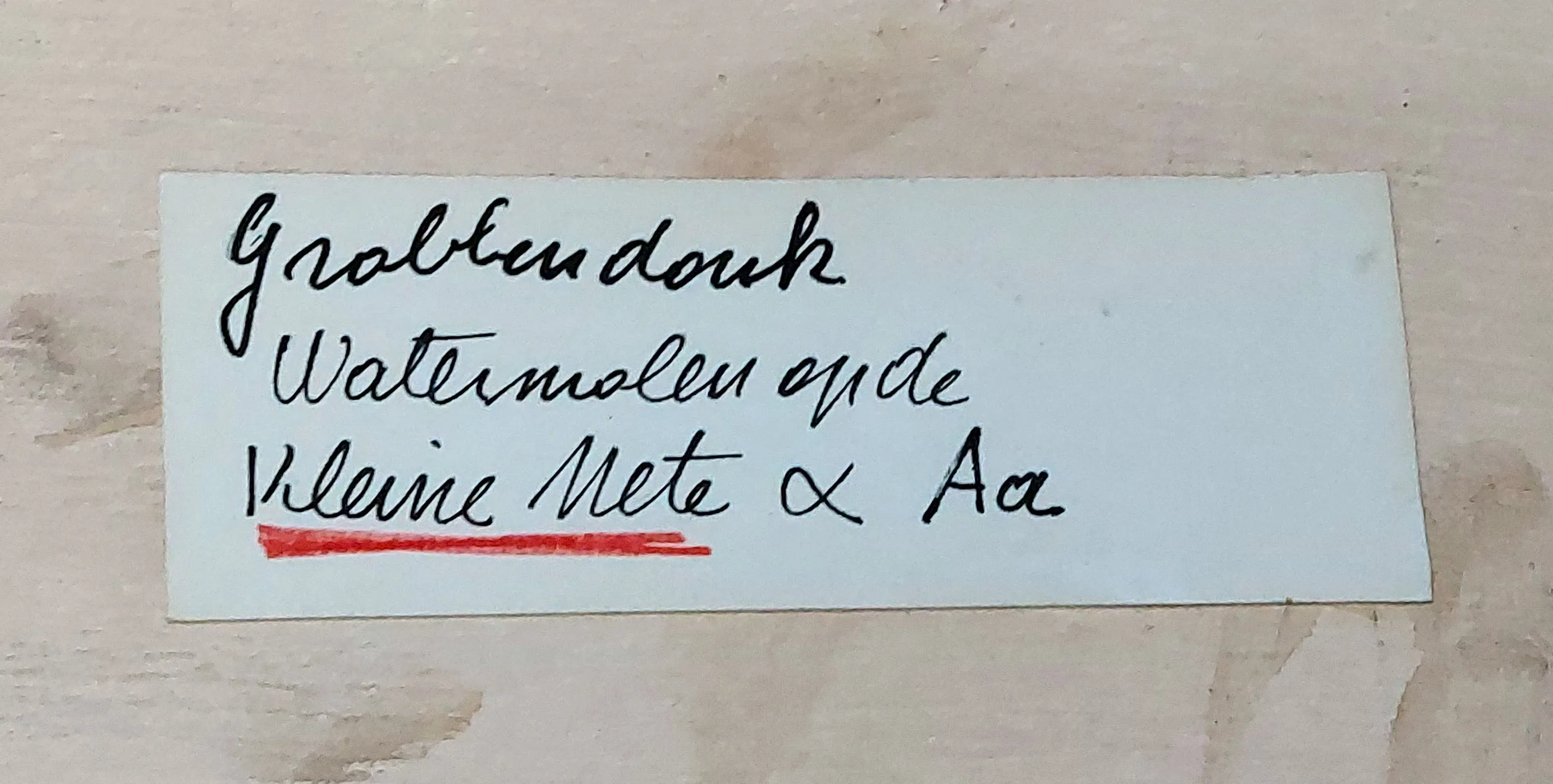 Buy an oil painting by the Bruges artist Renaat Bosschaert