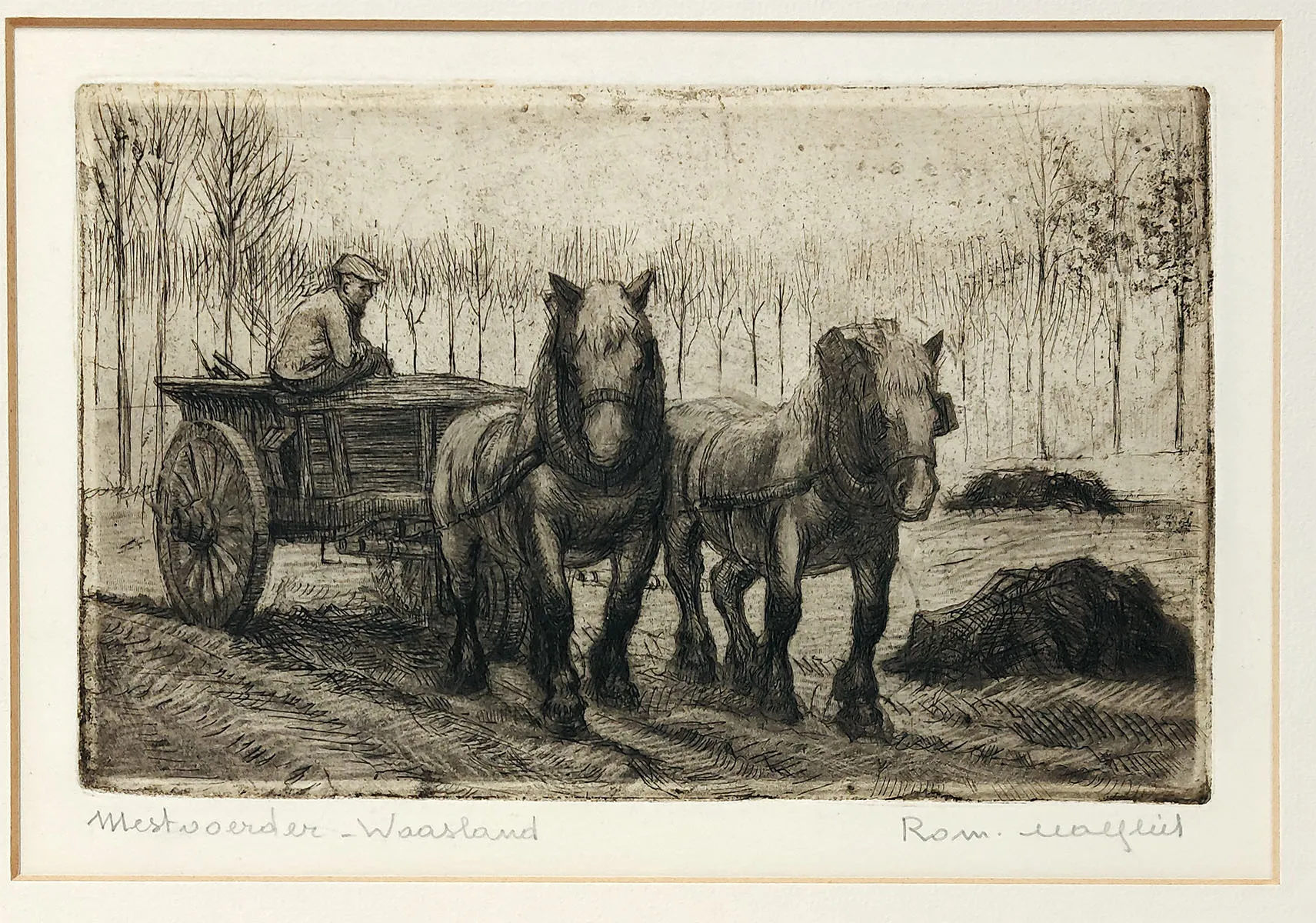 Mestvoerder Waasland, ets kopen van de etser Romain Malfliet