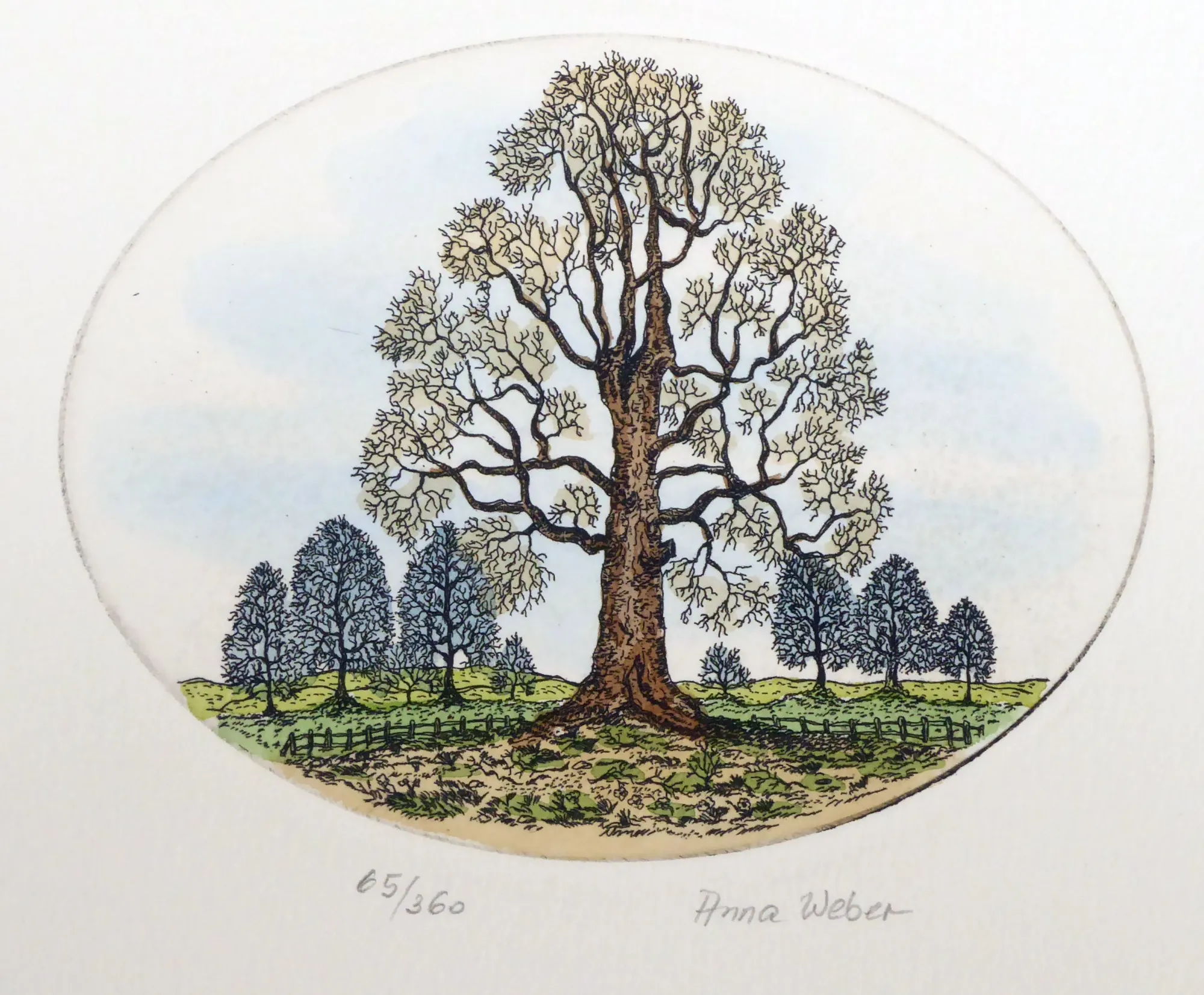 German artist etcer Anna Weber De Majestueuze boom