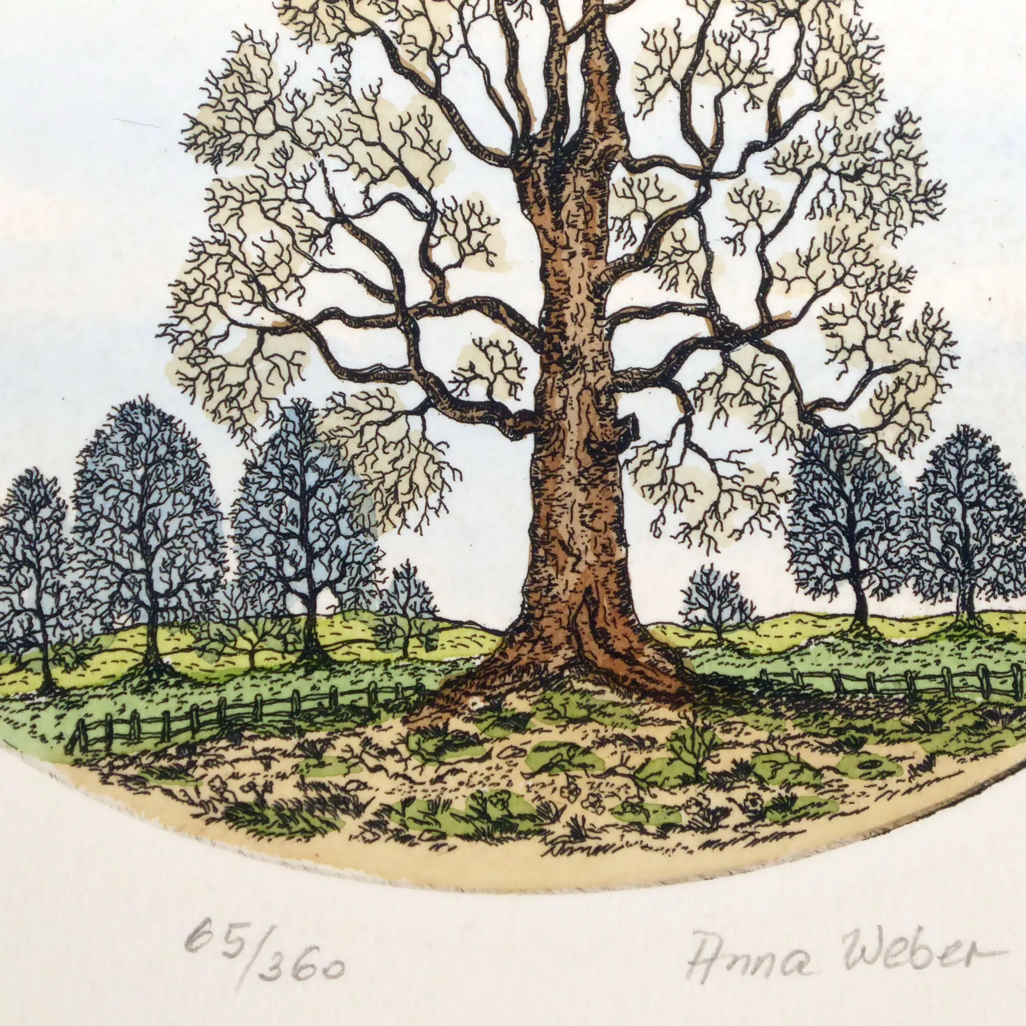 German artist etcer Anna Weber De Majestueuze boom