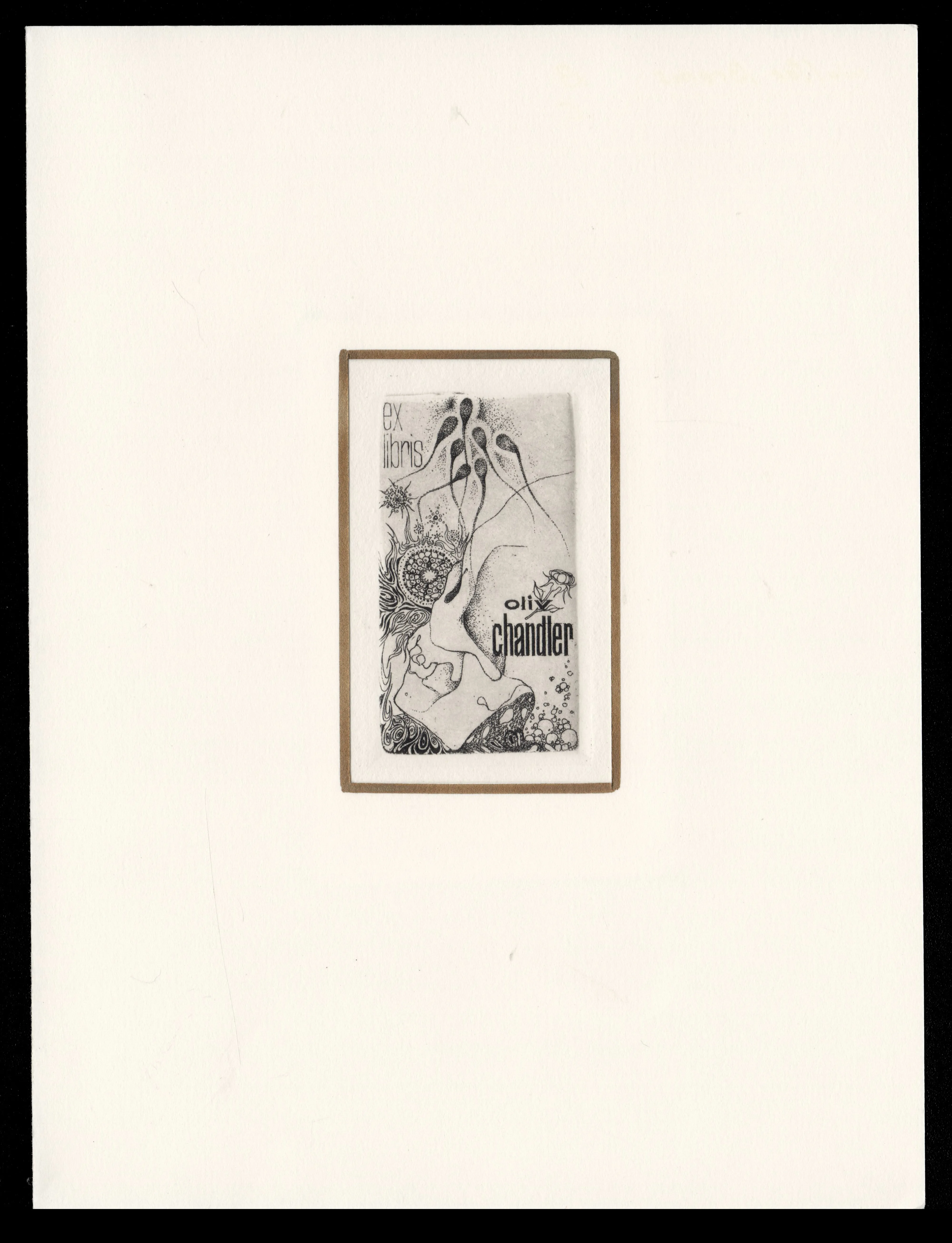 Buy etching, ex libris by the Belgian artist Walter F. Brems