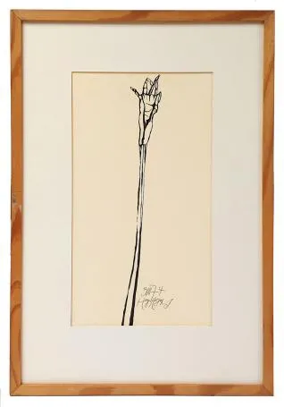 Belgische kunstschilders, Belgische etsers, Belgische kunstenaars