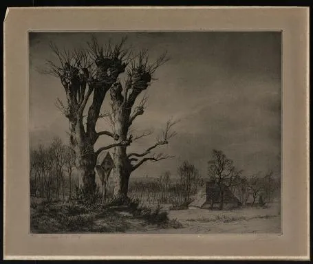 Kunstwerken van de Belgische kunstenaar Jan De Cooman kopen