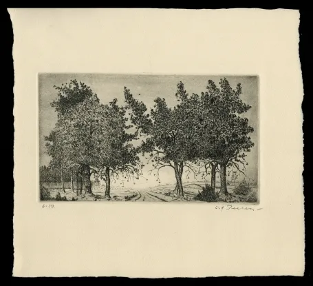 Buy etchings from the Belgian graphic artist and etcher Louis Peeters