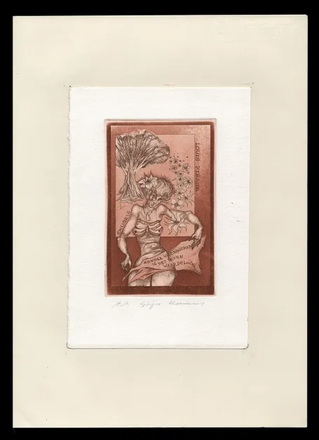 Buy graphic artworks from the Belgian artist Stijn Mommen