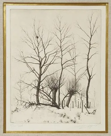 Kunstwerken kopen van de Antwerpse kunstenaar Willem Dolphyn