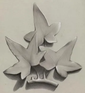 Een 19de -eeuwse schets van een klimopblad getekend door J. Storm