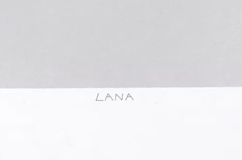 Acheter lithographie "JANA" de l'artiste malinois Jan de Winter