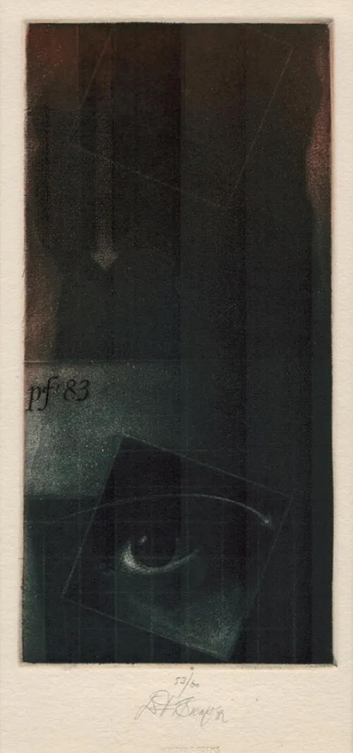 Grafisch werk van de Belgische kunstenaar Walter F. Brems kopen